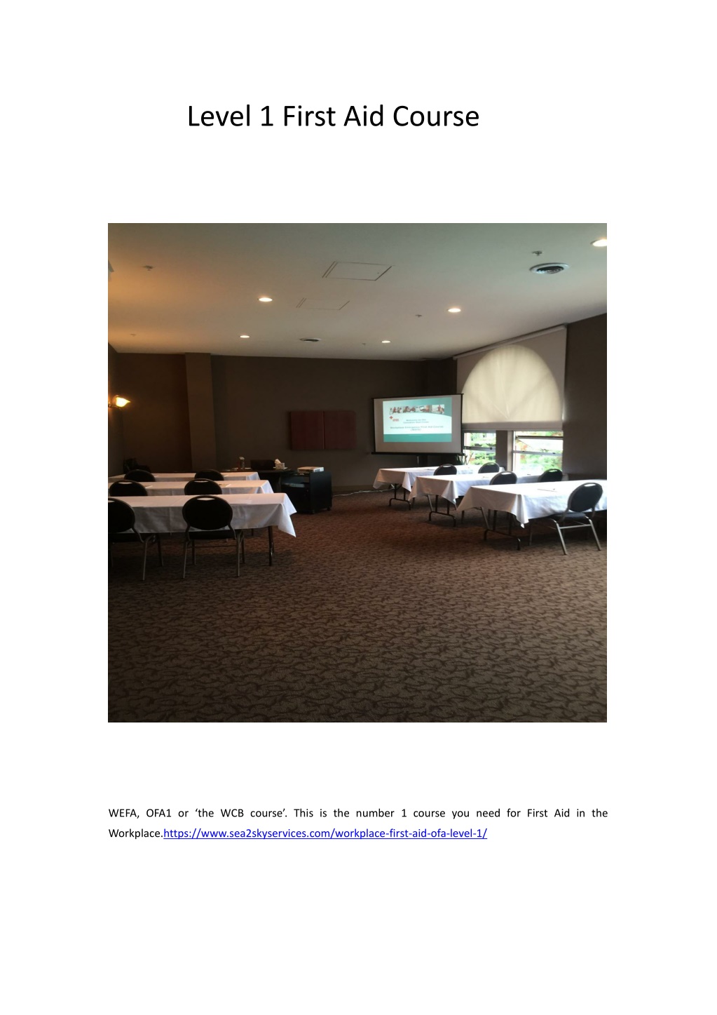 PPT - Level 1 First Aid Course PowerPoint Presentation, free download ...
