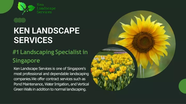 PPT - Landscaping & Gardening Services in Singapore ...