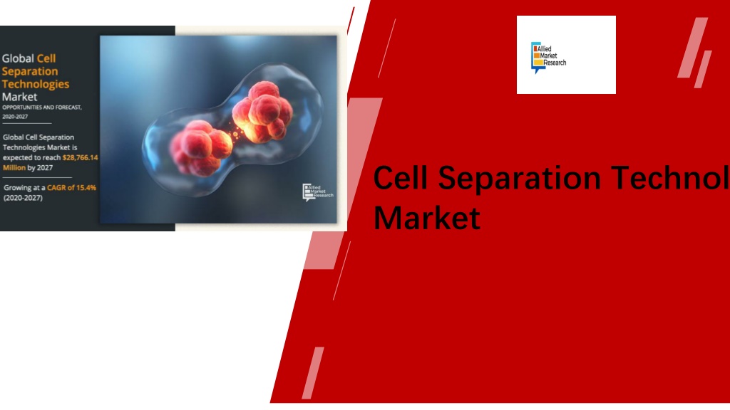 PPT - Cell Separation Technologies Market PowerPoint Presentation, free ...