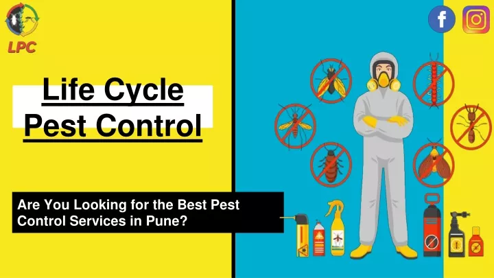 PPT - Best Pest Control in Pune at Affordable Price. PowerPoint ...