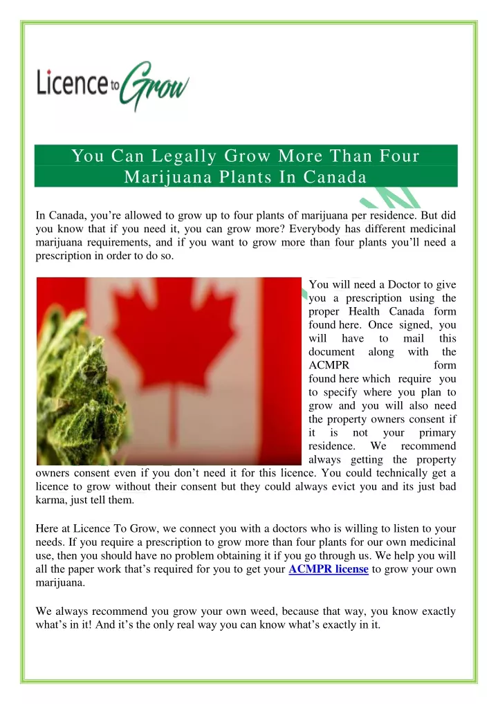 PPT - You Can Legally Grow More Than Four Marijuana Plants In Canada ... PPT - You Can Legally Grow More Than Four Marijuana Plants In Canada ...