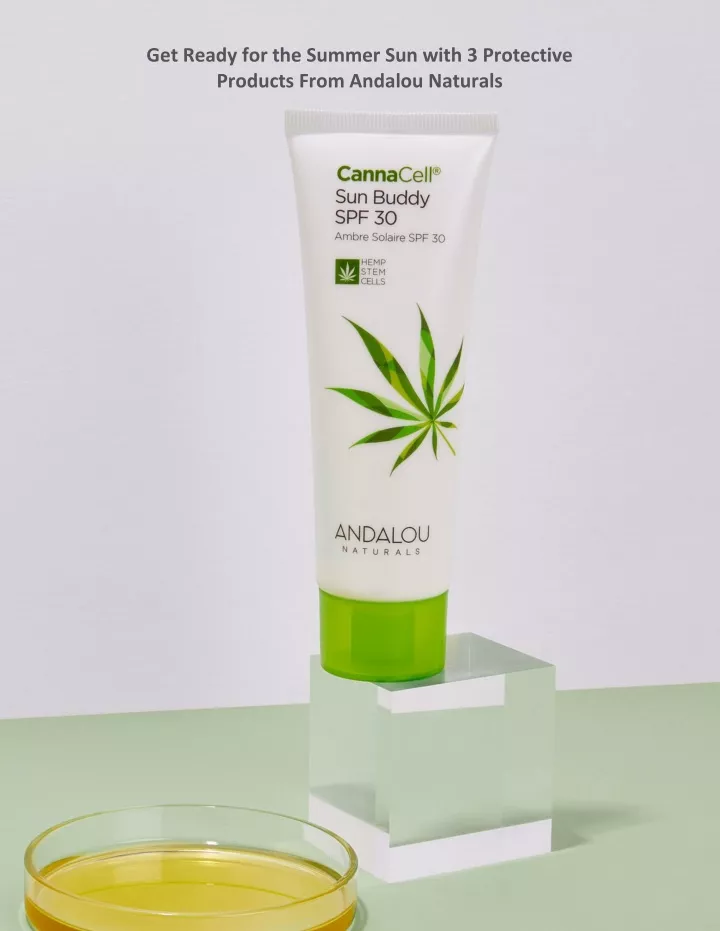 PPT - Get Ready for the Summer Sun with 3 Protective Products From ...