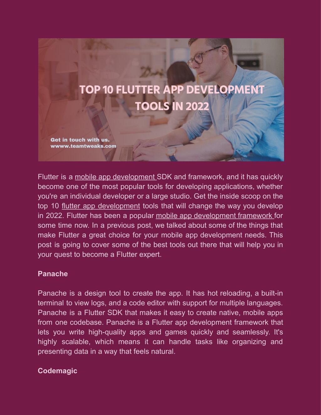 PPT - Top 10 flutter app development tools in 2022 PowerPoint Presentation - ID:11386371