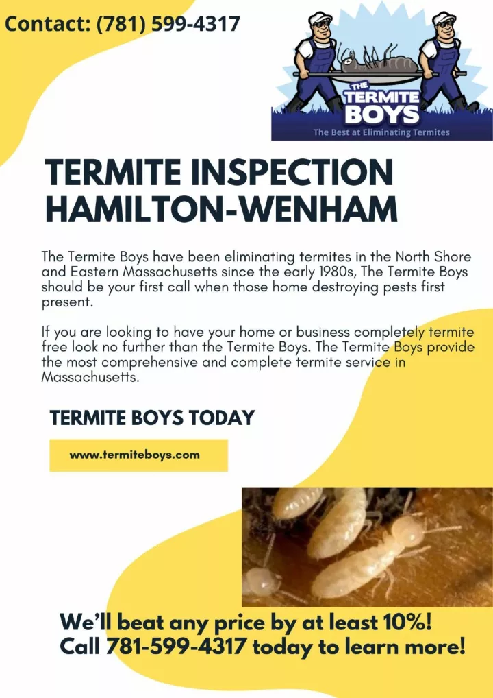 PPT - Termite Inspection Middleton | Termite Control North Reading ...