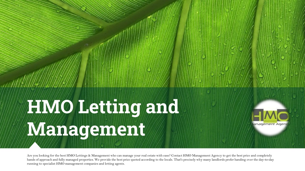 PPT - HMO Letting and Management PDF PowerPoint Presentation, free ...