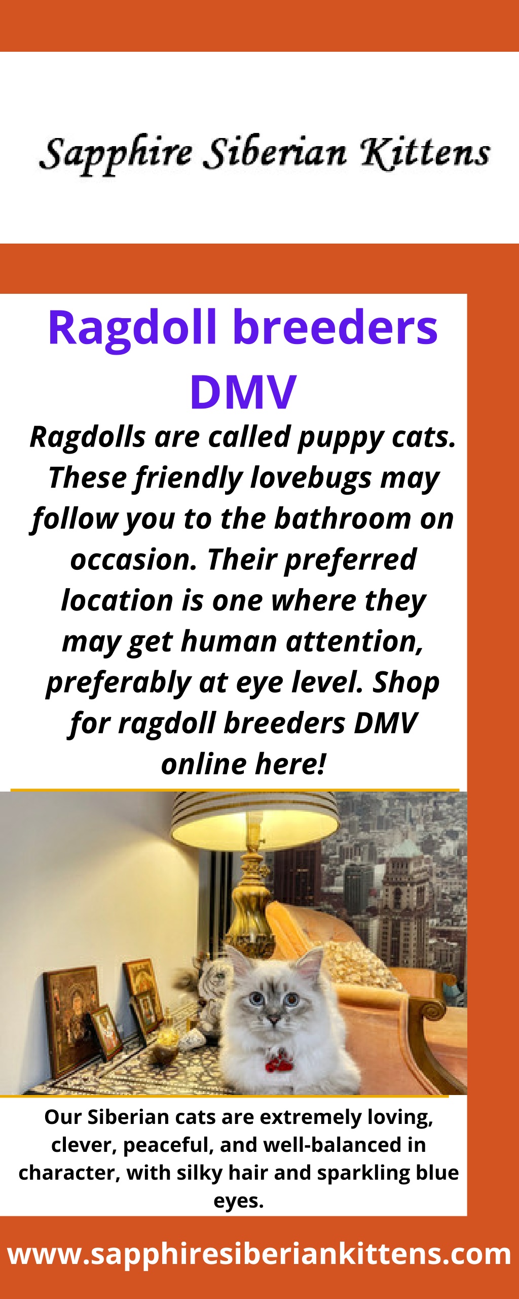 PPT - Ragdoll breeders DMV PowerPoint Presentation, free download - ID ...