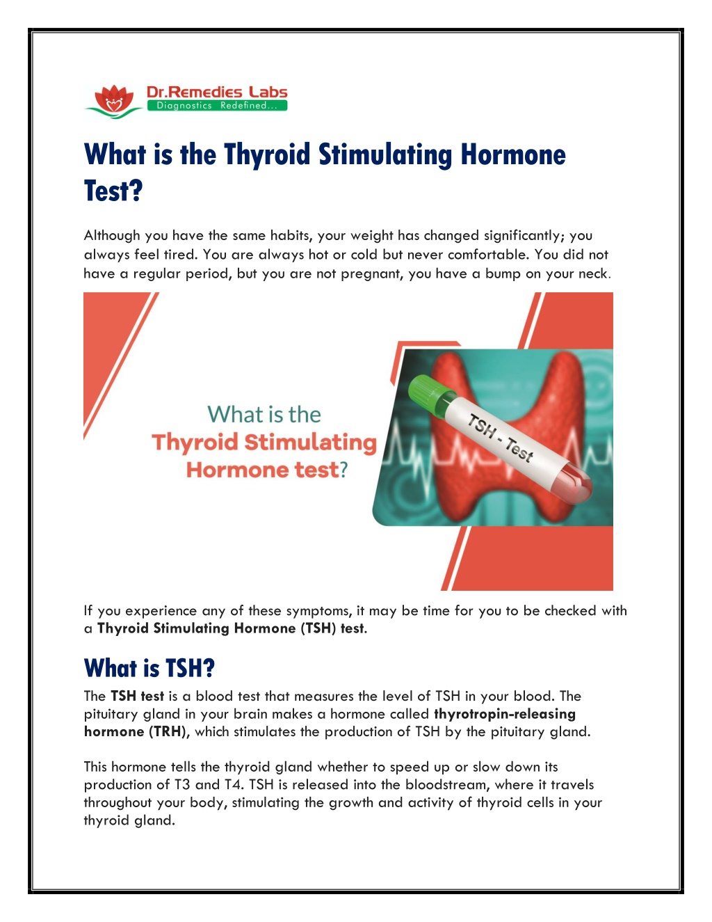 PPT - What is the Thyroid Stimulating Hormone Test.docx PowerPoint ...