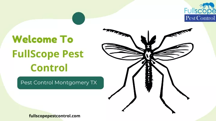 PPT - Pest Control Montgomery TX - FullScope Pest Control PowerPoint ...