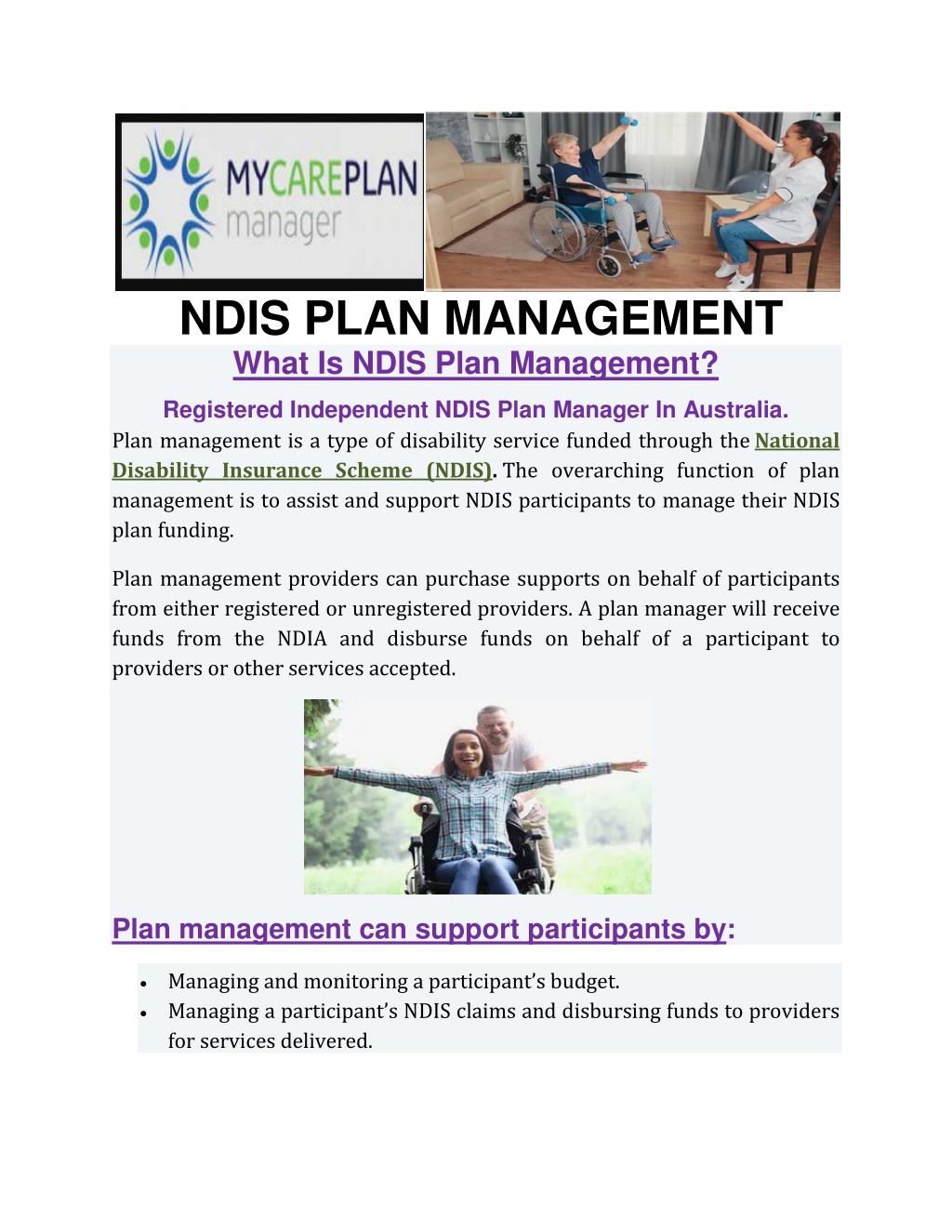PPT - NDIS PLAN MANAGEMENT PowerPoint Presentation, free download - ID ...
