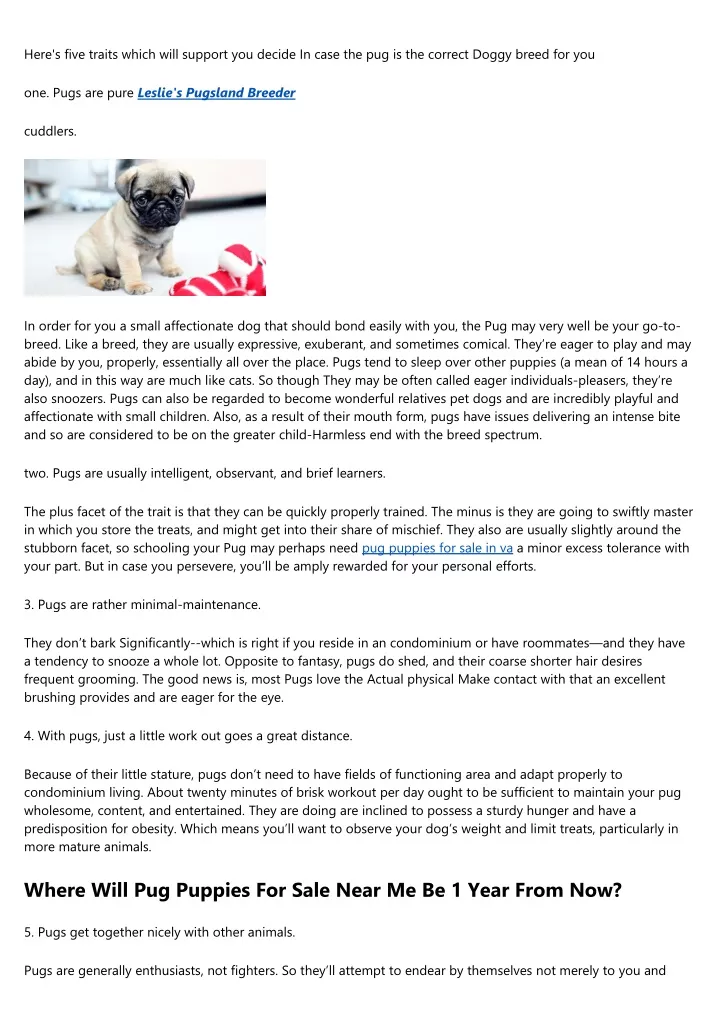 PPT - The Most Pervasive Problems In Pug Puppies For Sale PowerPoint ...