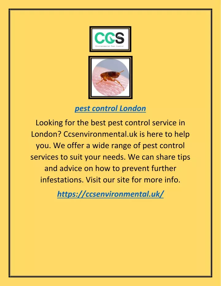 PPT - Pest Control London | Ccsenvironmental.uk PowerPoint Presentation ...