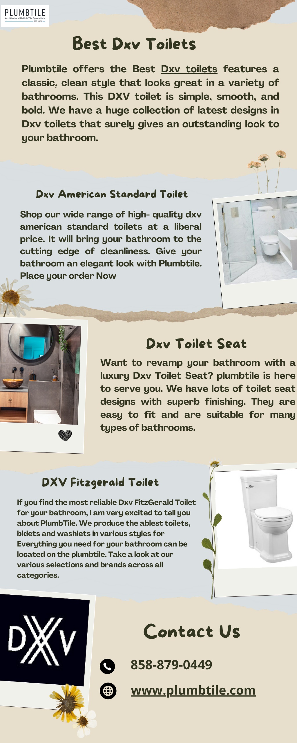PPT - Explore The Best Dxv Toilets PowerPoint Presentation, free ...