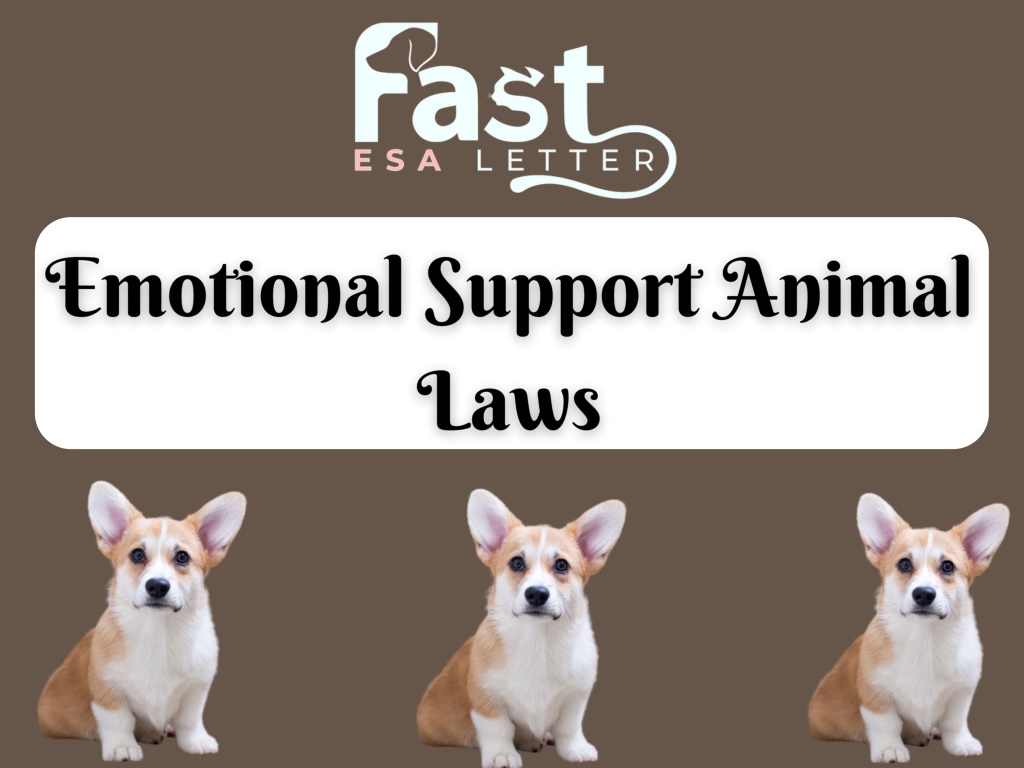 PPT - Emotional Support Animal Laws - ESA Letter PowerPoint ...