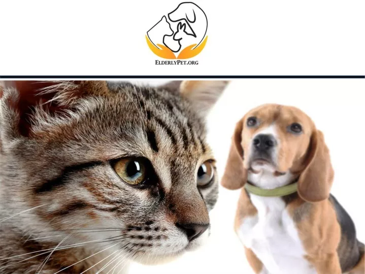 PPT - Donate electronics PowerPoint Presentation, free download - ID ...