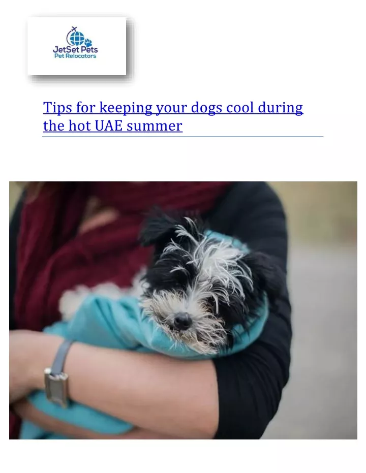 PPT - Tips for keeping your dogs cool during the hot UAE summer ...