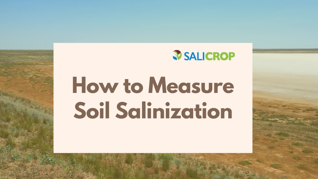 PPT - How to Measure Soil Salinization PowerPoint Presentation, free download - ID:11578306