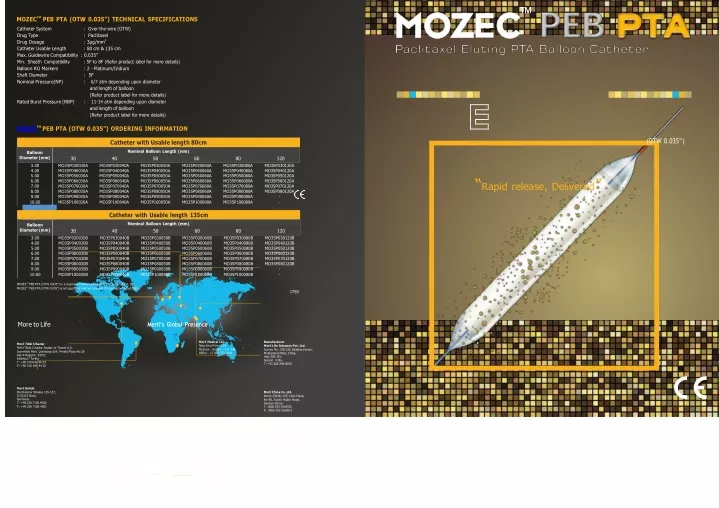 PPT - Explore about MOZEC PEB treatment of peripheral vessels Online at ...