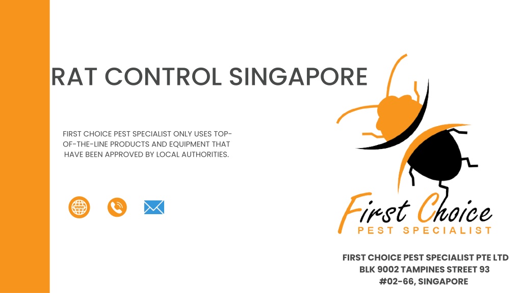 PPT - Rat Control Singapore PowerPoint Presentation, free download - ID ...