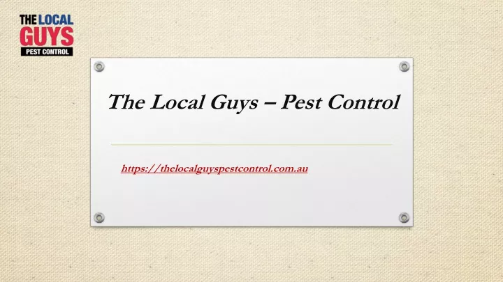 PPT - Melbourne Termite Treatment | Thelocalguyspestcontrol.com.au ...
