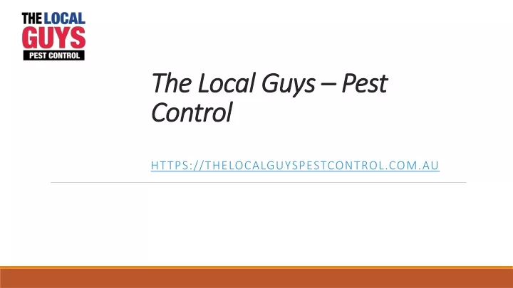 PPT - Termite Treatment Perth Reviews | Thelocalguyspestcontrol.com.au ...