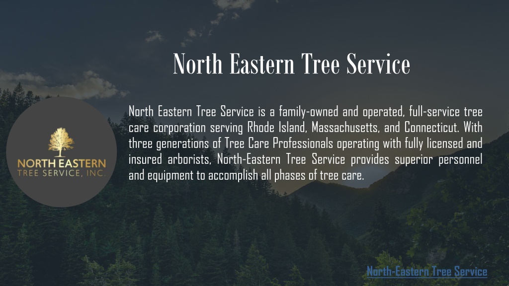PPT - Tree Service by North Eastern Tree Service PowerPoint ...
