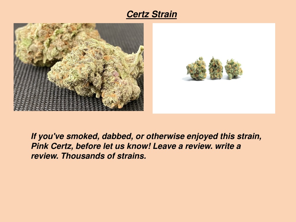 PPT - Certz Strain PowerPoint Presentation, free download - ID:11676987