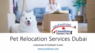 PPT - Pet Relocation Services Dubai PowerPoint Presentation, free ...