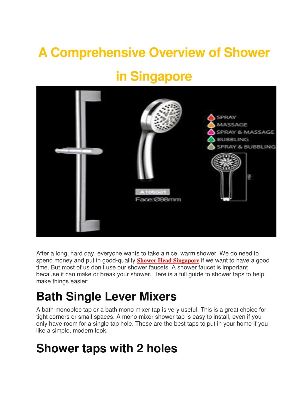 PPT - A Comprehensive Overview of Shower in Singapore PowerPoint ...