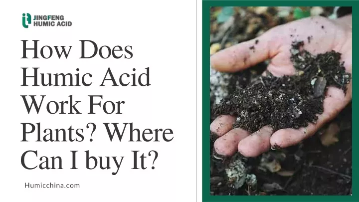 PPT - How Does Humic Acid Work For Plants Where Can I buy It ...