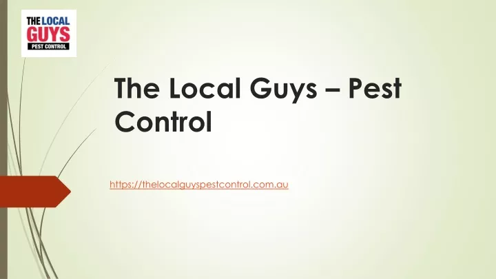 PPT - Termite Treatment Sydney | Thelocalguyspestcontrol.com.au ...