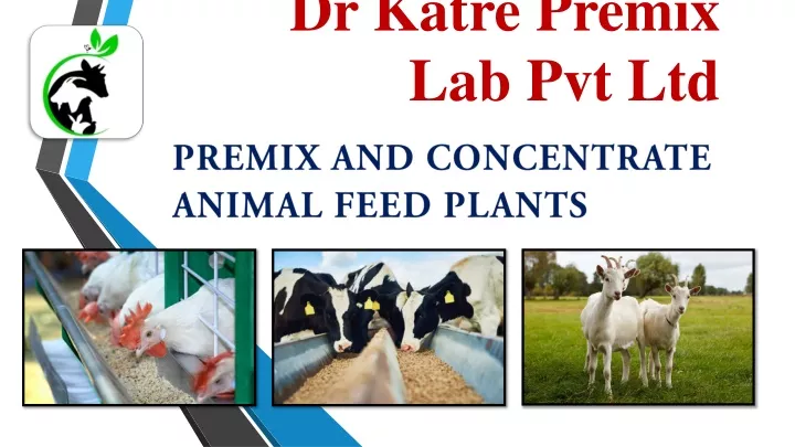 PPT - Premix and Concentrate Animal feed Plants by Dr Katre Premix Lab ...