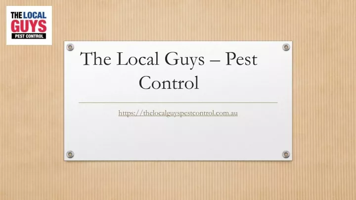 PPT - Termite Treatment Brisbane | Thelocalguyspestcontrol.com.au ...