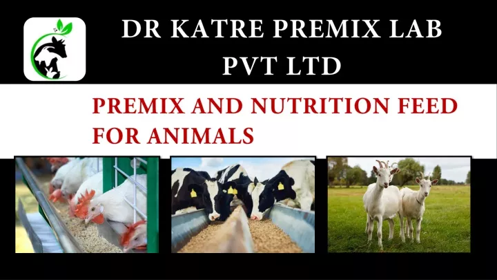 PPT - Premix and Nutrition Feed For Animals by Dr Katre Premix Lab Pvt ...