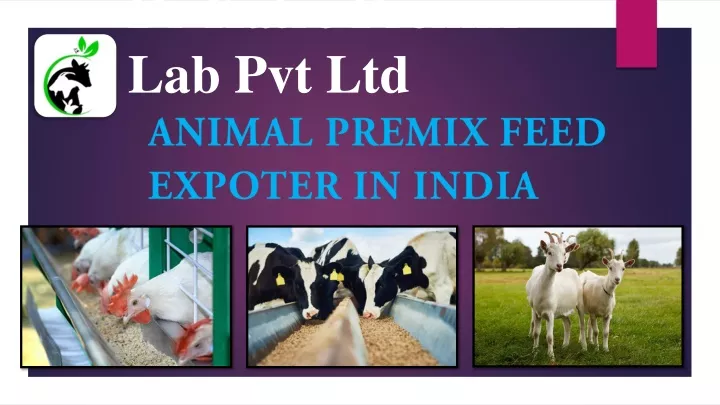 PPT - Animal Premix Feed Expoter in India by Dr Katre Premix Lab Pvt ...