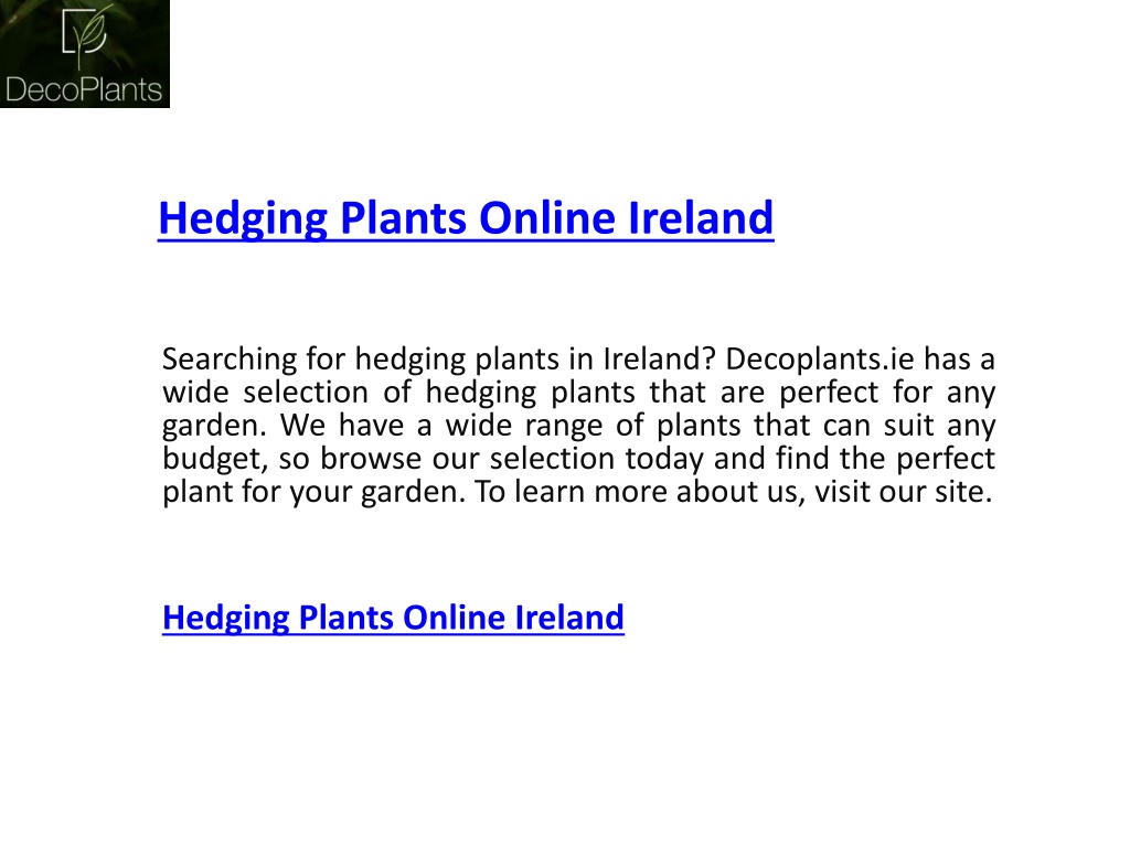 PPT - Hedging Plants Online Ireland Decoplants.ie PowerPoint ...