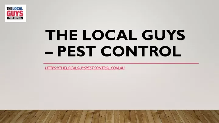 PPT - Termite Inspection Brisbane | Thelocalguyspestcontrol.com.au ...