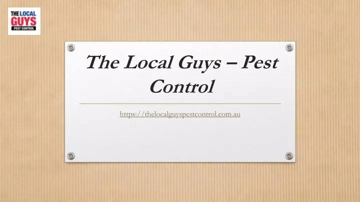 PPT - Termite Inspection Brisbane | Thelocalguyspestcontrol.com.au ...