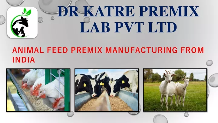 PPT - Animal feed Premix Manufacturing from India PowerPoint ...