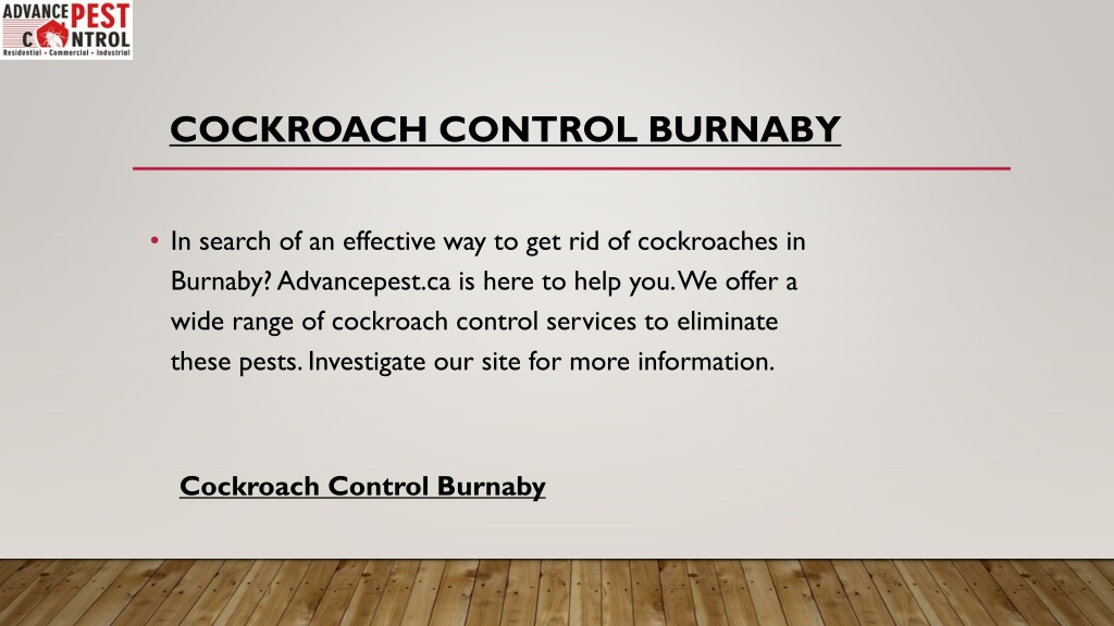 PPT - Cockroach Control Burnaby PowerPoint Presentation, free download ...