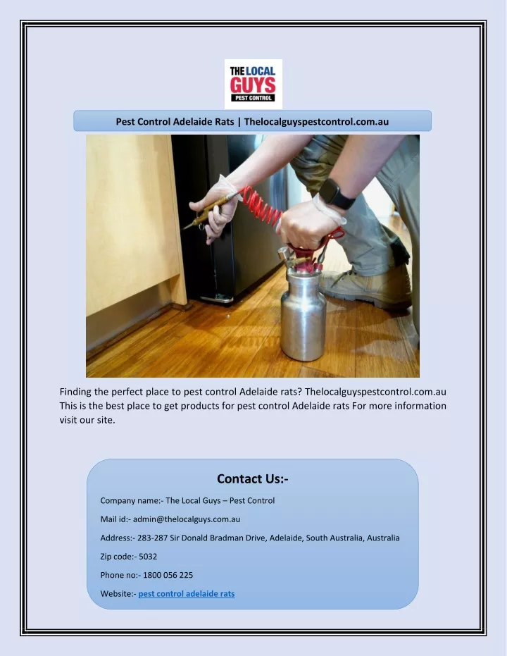 PPT - Pest Control Adelaide Rats | Thelocalguyspestcontrol.com.au ...