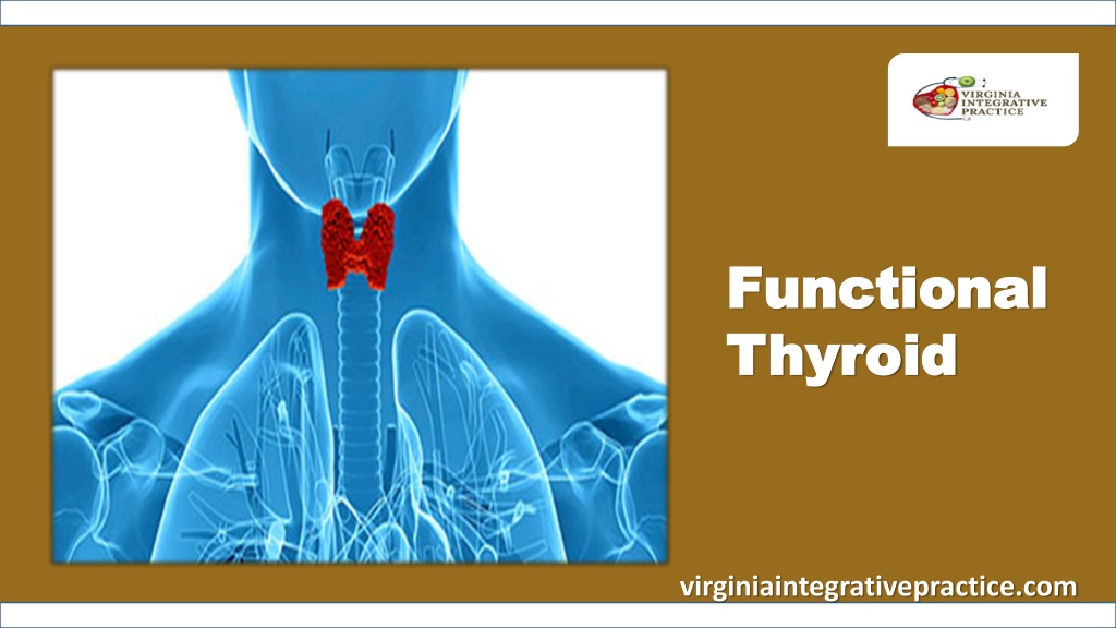 PPT - Functional Thyroid PowerPoint Presentation, free download - ID:11806954