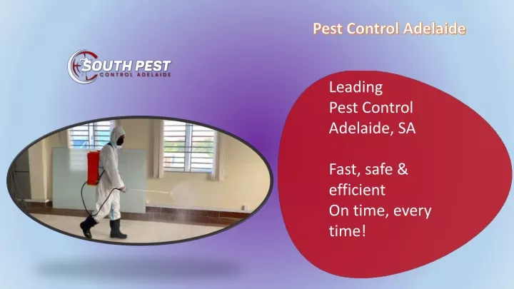 PPT - South Pest Control Adelaide PowerPoint Presentation, free ...
