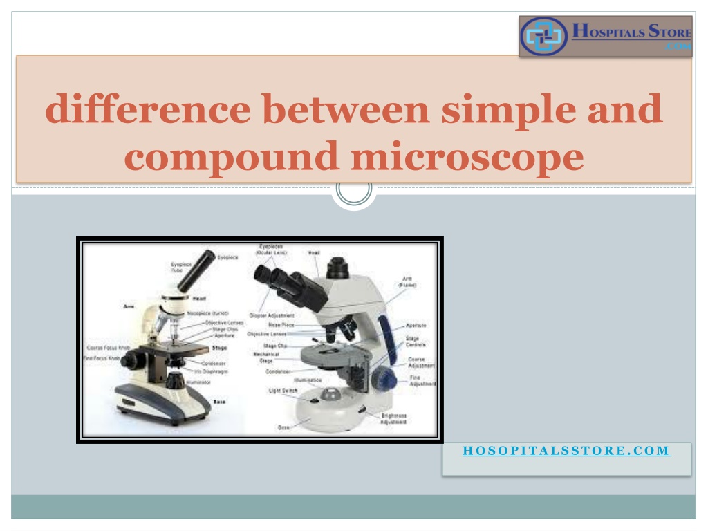PPT - difference between simple and compound microscope PowerPoint Presentation - ID:11816118