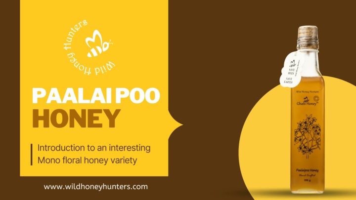 PPT - Wild Paalai Poo Honey - Wild honey hunters PowerPoint ...