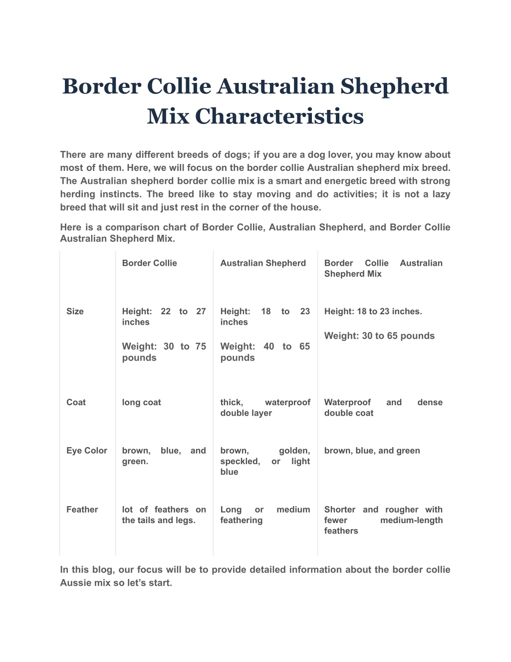 PPT - Border Collie Australian Shepherd Mix Characteristics PowerPoint ...