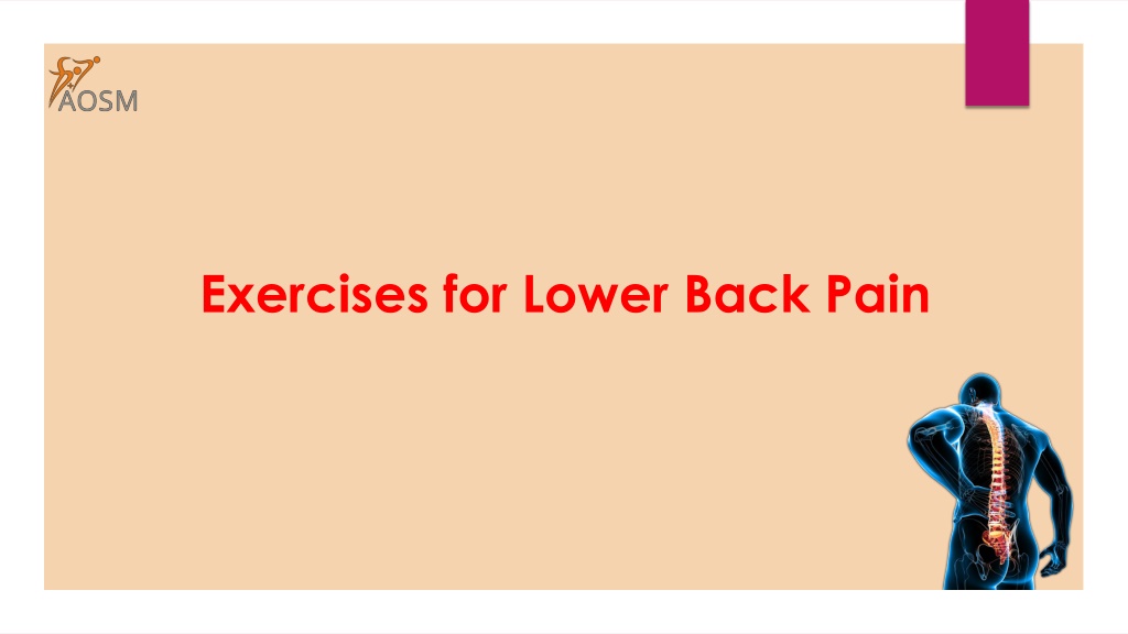 PPT - Exercises for Lower Back Pain PowerPoint Presentation, free ...