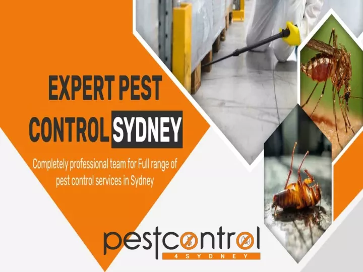PPT - Pest Control 4 Sydney PowerPoint Presentation, free download - ID ...