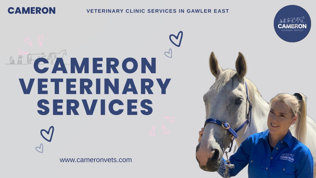 PPT - CAMERON VETERINARY SERVICES CENTRE PowerPoint Presentation, free download - ID:11849070