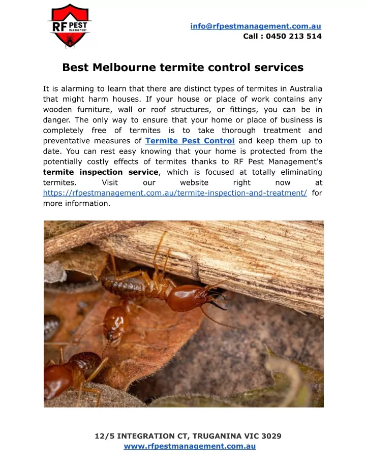 PPT - Best Melbourne termite control services PowerPoint Presentation ...