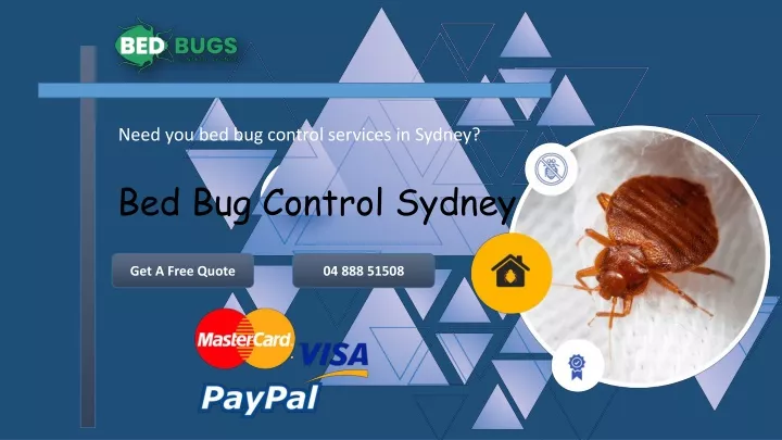 PPT - Bed Bugs Control Sydney PowerPoint Presentation, free download - ID:11855955